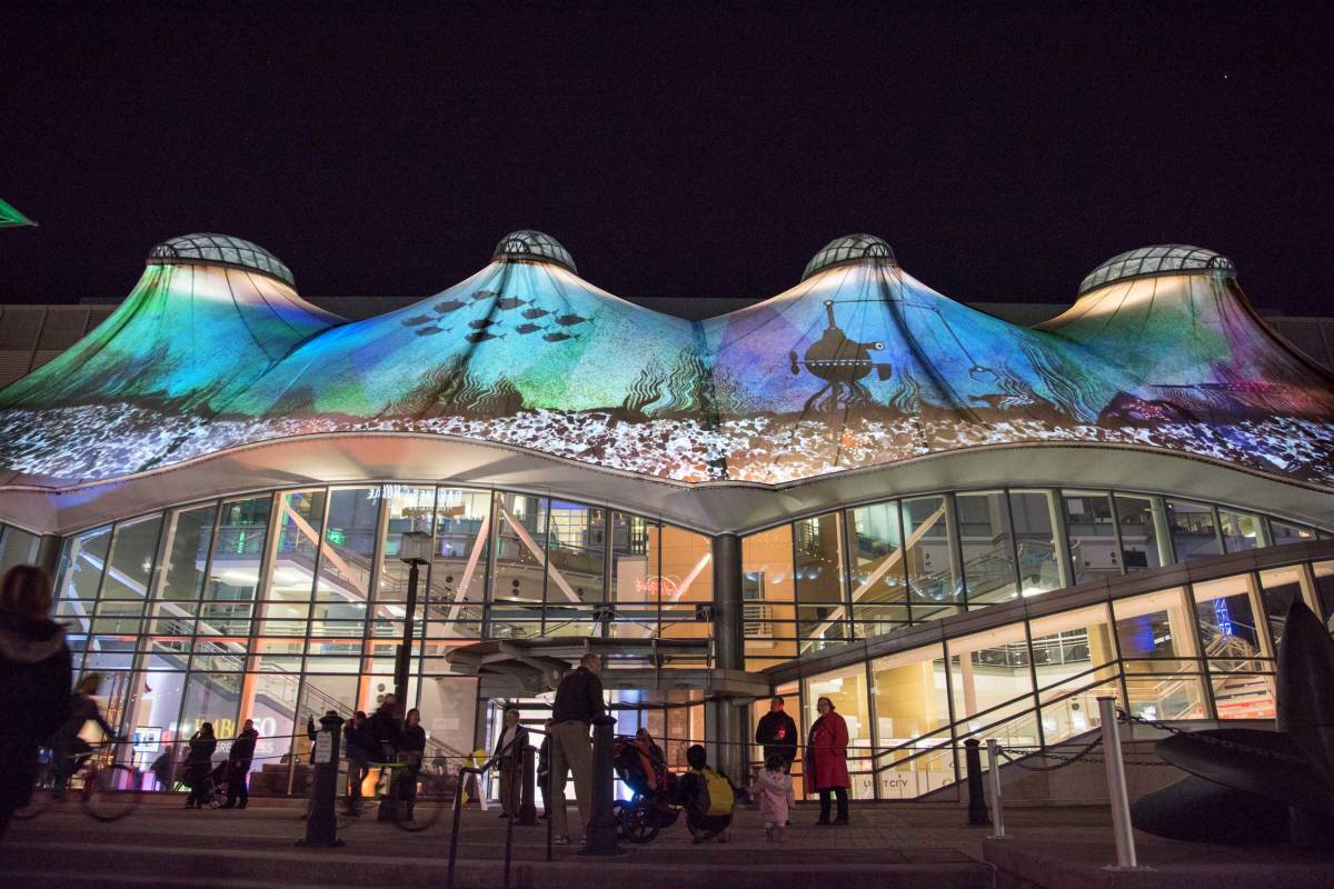 BAY BINGO – Incredible Outliers